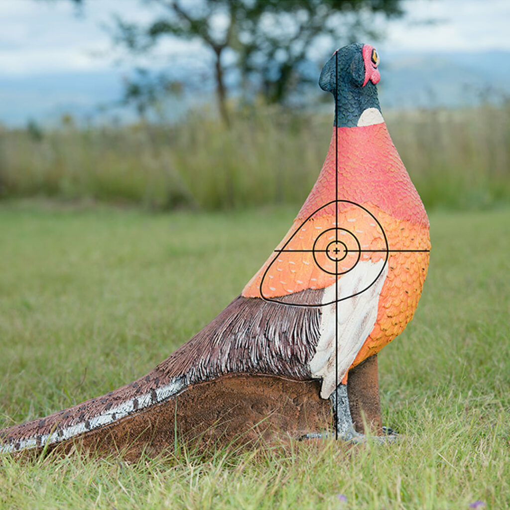 3D Target Zones